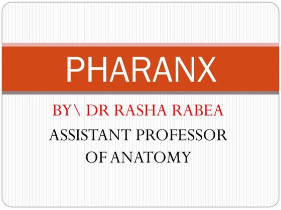 Hypopharynx anatomy | PPT