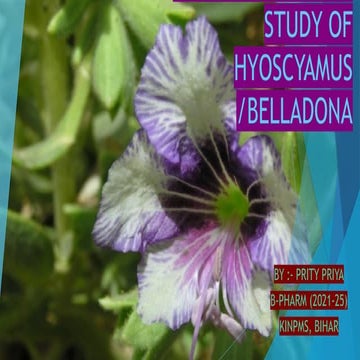 PHARMACOGNOSTIC STUDY OF HYOSCYAMUS AND BELLADONNA.pptx