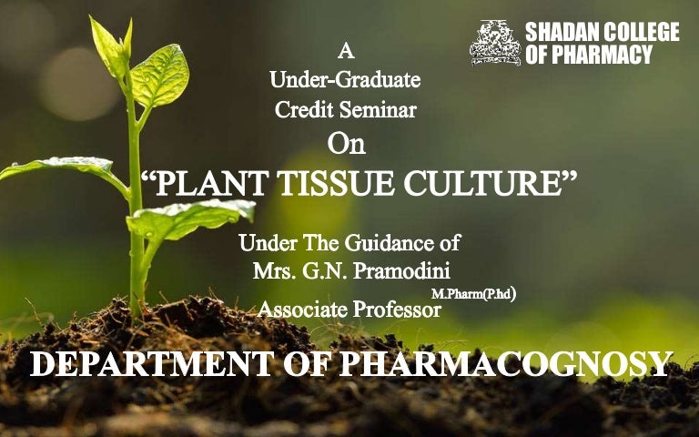 Plant Tissue Culture Complete Presentation
