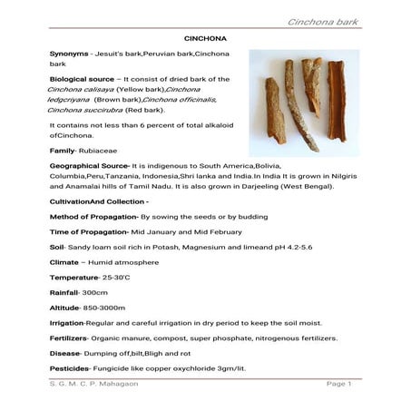 Cinchona by Mr. Mohit | PPTX