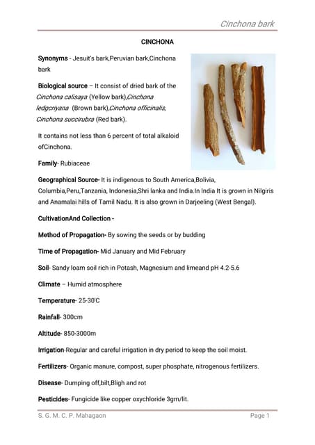 Scheme for description of Cinchona Bark | PDF