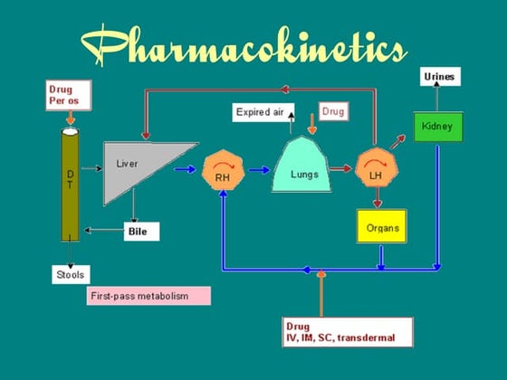 Pharmacokinetics | PPTX