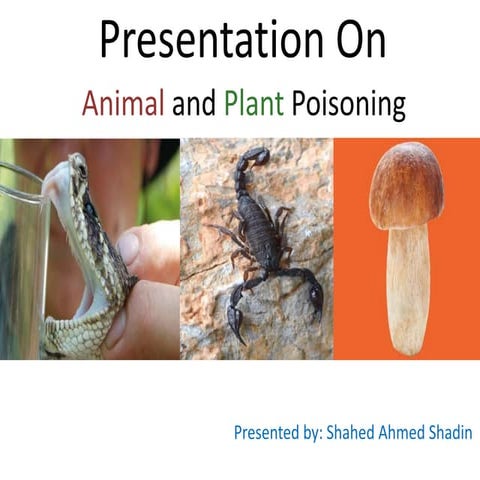 Poisoning-Animal(Snake,Scorpion,Spider)Plant(Mushroom) | PPTX