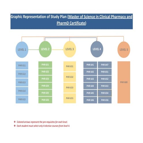 Pharmacy Study Plan Graphic Representation.pdf