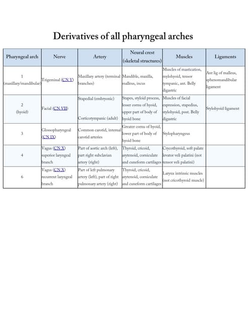 Microscopic features of ovary | PPT