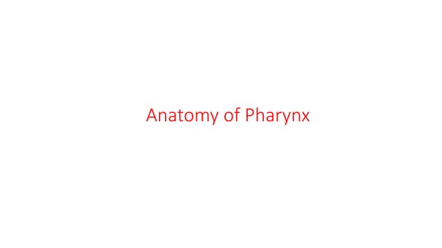 Anatomy of pharynx | PPTX