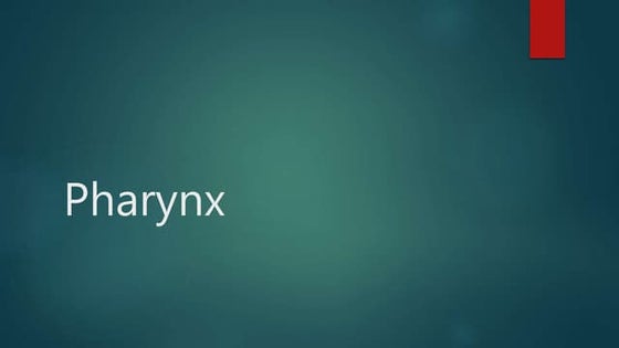 Anatomy of pharynx | PPTX