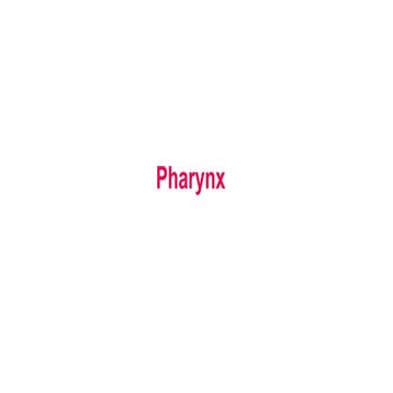 Pharynx Complete detail only in one.pptx