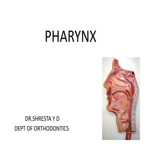 anatomy and physiology of pharynx ( oro and naso and pharyngeal) | PPTX