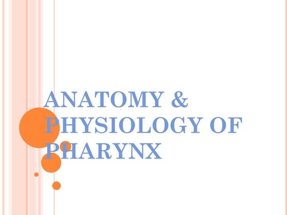 Anatomy of pharynx | PPTX