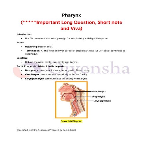 Muscles of Pharynx | PPTX