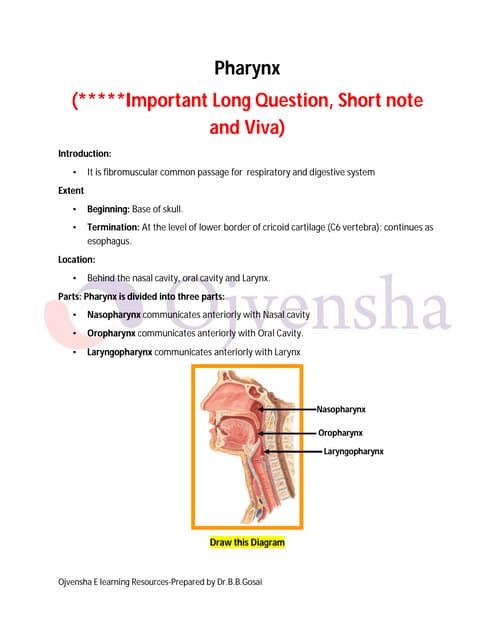 Muscles of Pharynx | PPTX