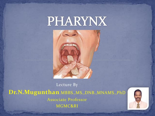 Anatomy of pharynx | PPTX