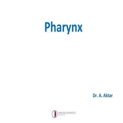Anatomy of pharynx | PPTX