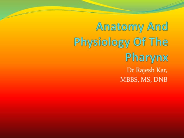 Muscles of Pharynx | PPTX