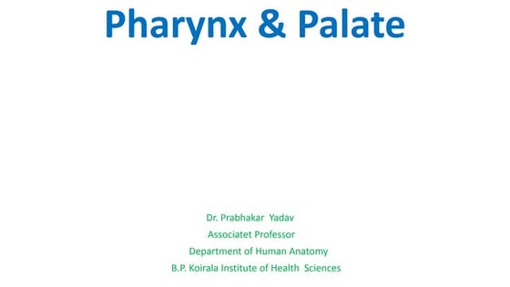 Histology of pharynx & larynx | PPTX