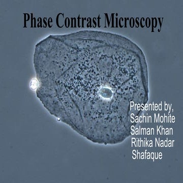 Phase contrast microscopy