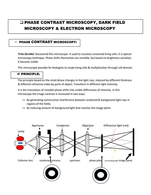 transmission Electron Microscopy (Tem) | PPTX