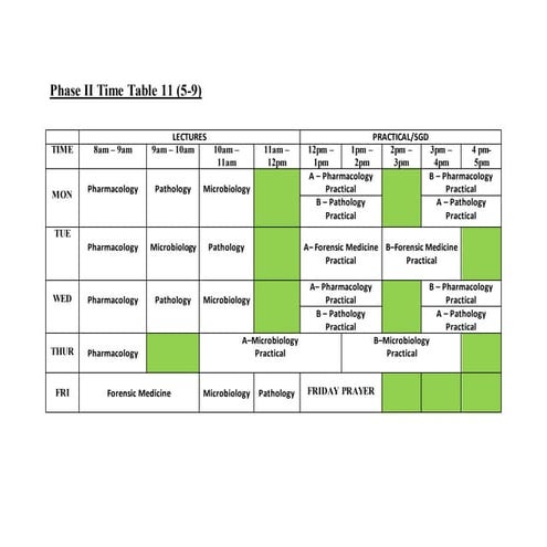 Phase ii time table 11 (5 9) - new | DOCX