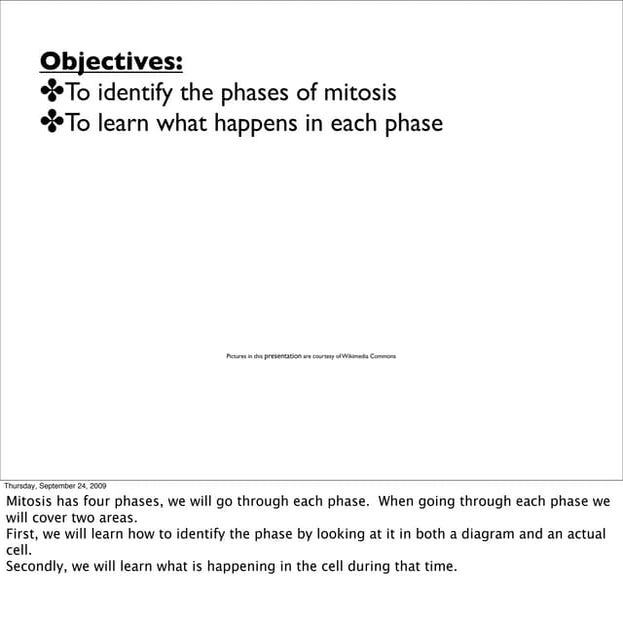 Phases Of Mitosis PDF | PDF
