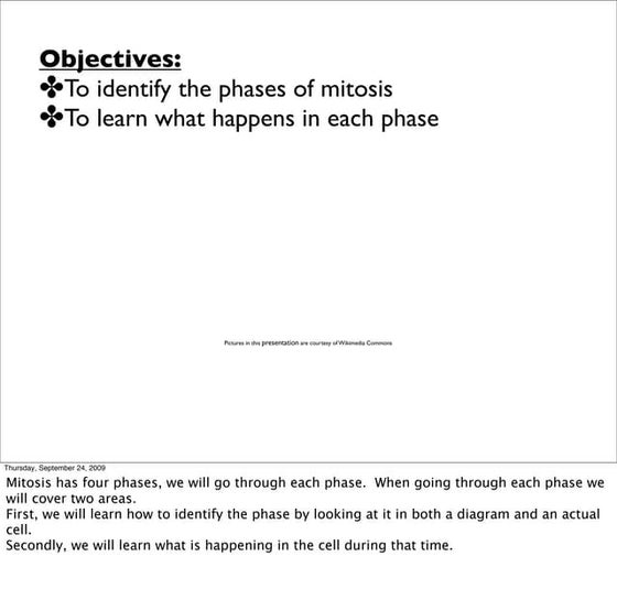 mitosis by ryan | PPT