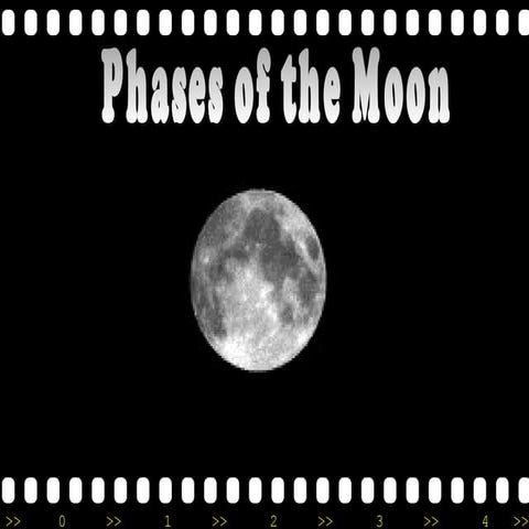 Season, Phases of the Moon, and Tides | PPTX