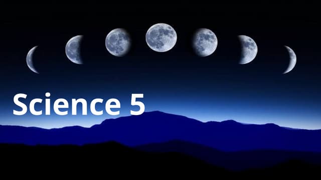 Phases of the Moon.ppt