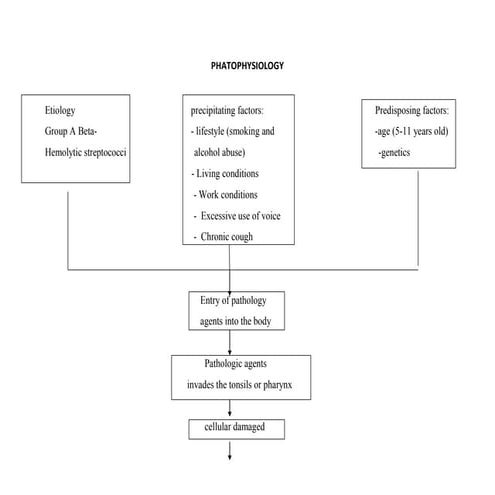 Phatophysiology | DOCX