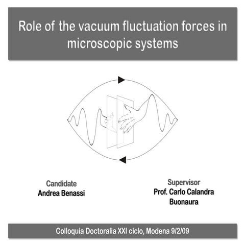 Role of the vacuum fluctuation forces in microscopic systems | PDF