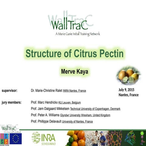 Citrus Pectin Structure, Dr. Merve Kaya. | PPTX