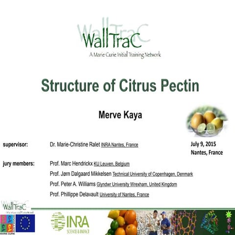 Dr. Merve Kaya- Structure of Citrus Pectine | PPTX