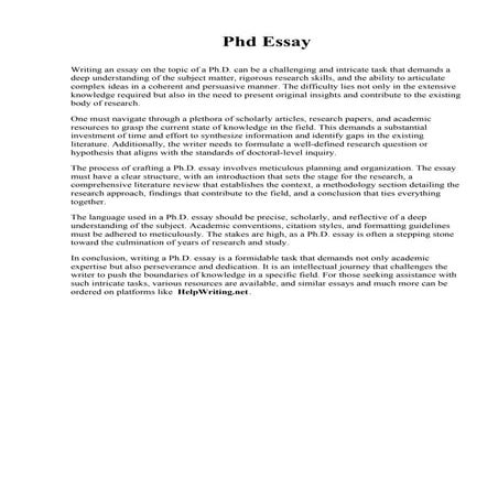 Phd Essay.pdf