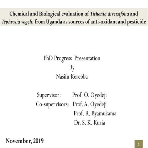 Progress report presentation Nov, 2019.pptx