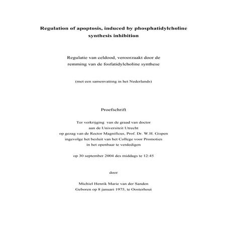 PhD thesis 2004 | PDF