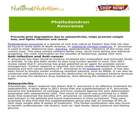 Phellodendron Amurense.pdf | Herbs and Supplements | Alternative Medicine