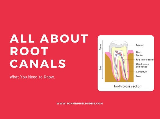 Consuelo resume updated | PDF