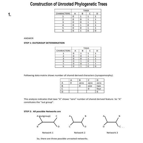 Phenetics explanation with examples B.Sc level | PPT