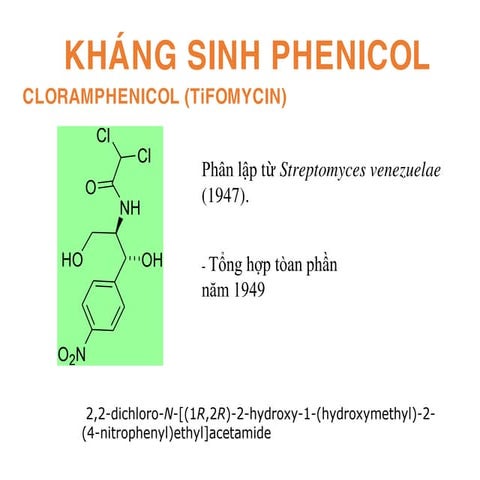 Kháng sinh Phenicol | PDF