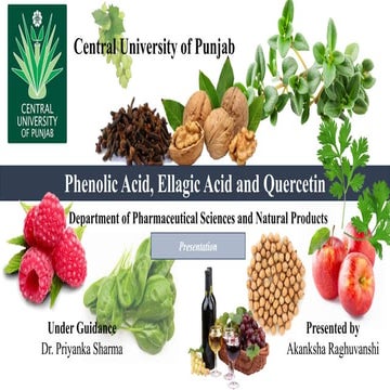 phenolic acid,gallic acid , ellagic acid | PPTX