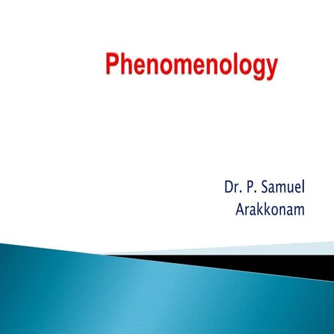 Phenomenology | PDF