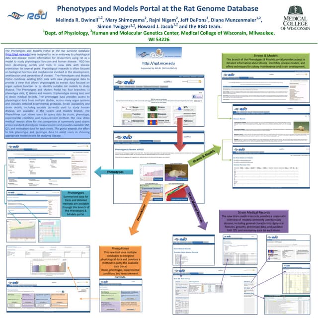 Phenotypes and models portal at the rat genome database | PPTX