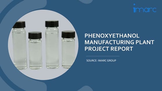 Phenol Manufacturing Plant Project Report 2024 Edition.pptx