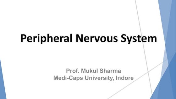 Peripheral Nervous System (PNS) | PPTX