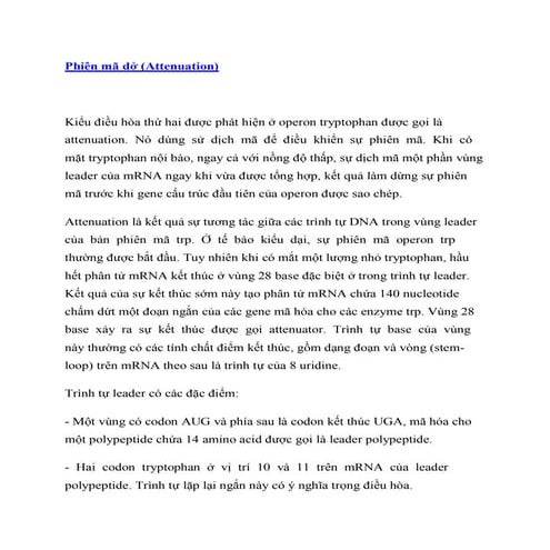 Phien ma do (attenuation) | PDF