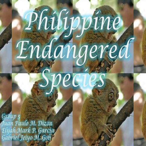 Philippine endangered species | PPTX