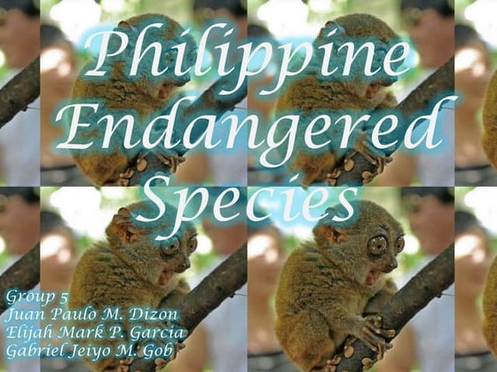 Animals endemic to the philippines | PPT