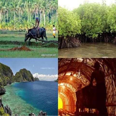 Philippine Natural Resources.pptx