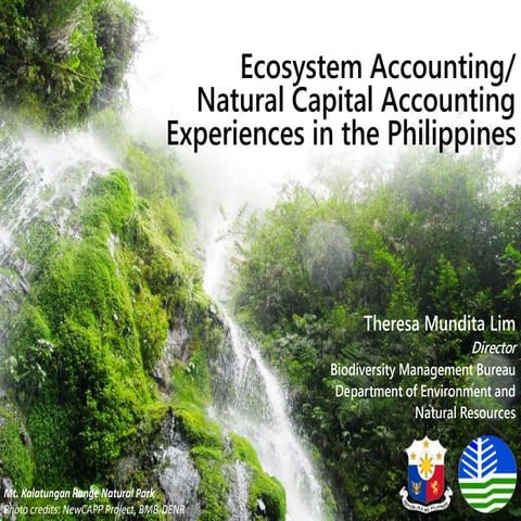 philippines-ecosystemaccounting.pptx