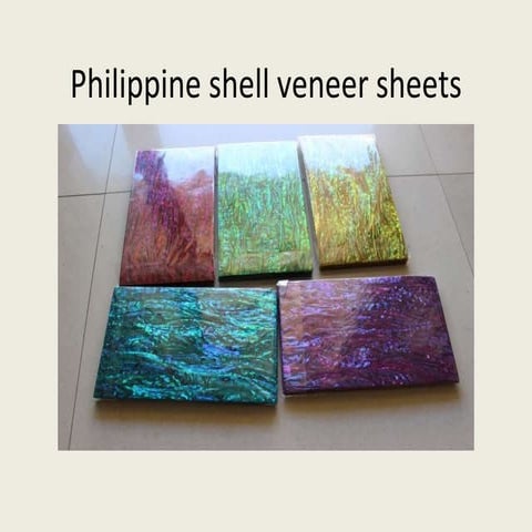 Philippine shell veneer sheets (1).ppsx (1) (2) (1) | PPTX