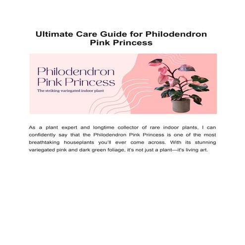 Ultimate Care Guide for Philodendron Pink Princess | PDF